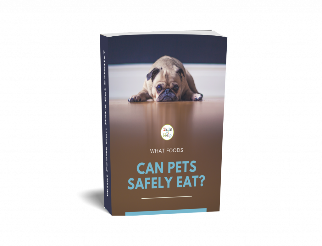 6 Common Causes of Dog Skin Conditions Like Rashes and Sores – Tails of ...